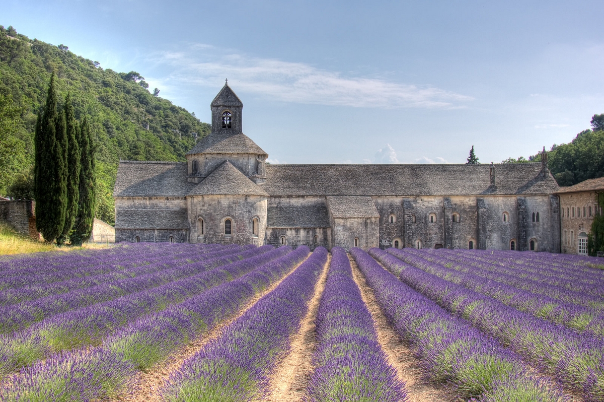 L’abbaye de Sénanque se refait une beauté - Marcelle