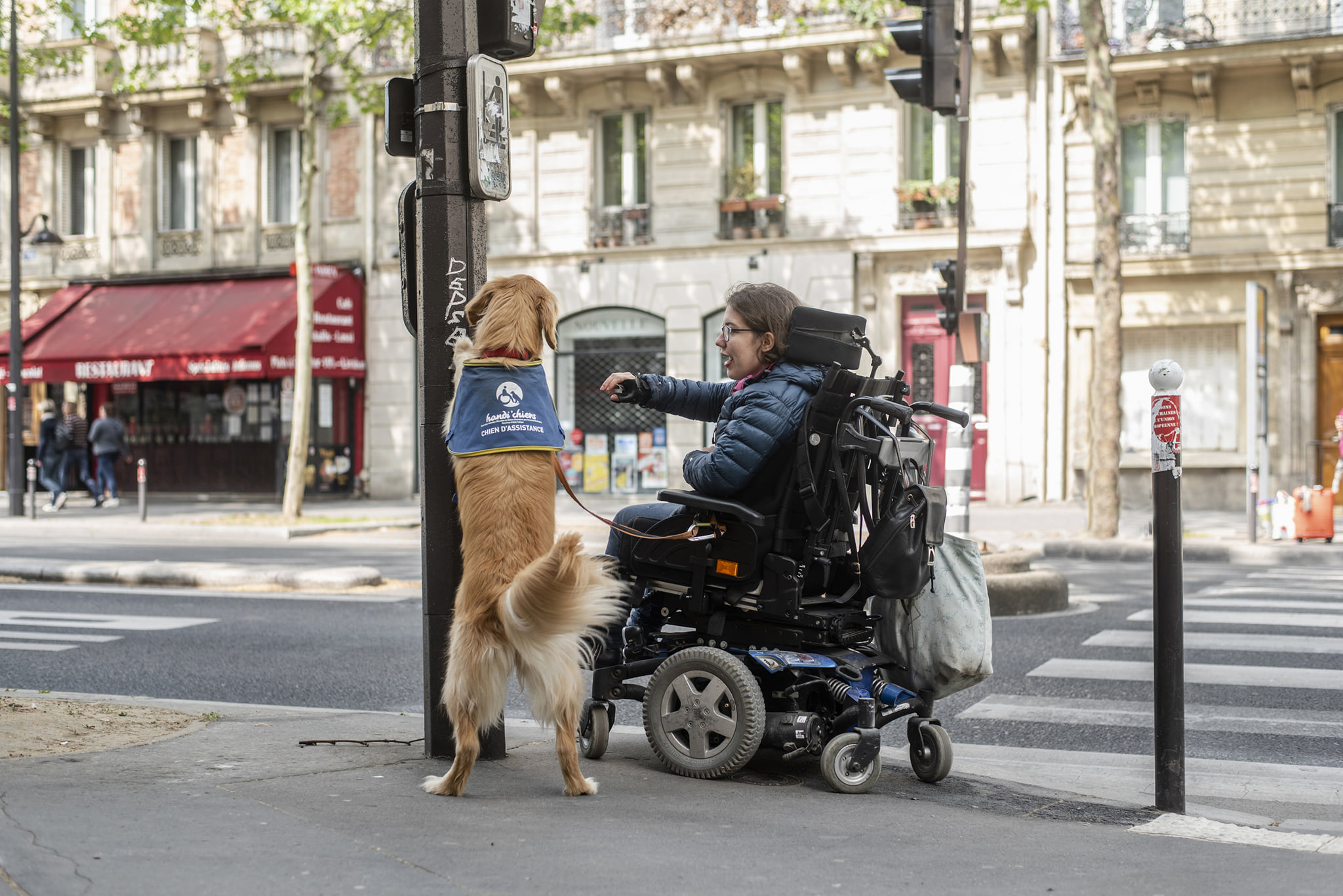 Le chien, un assistant de vie au quotidien - Marcelle